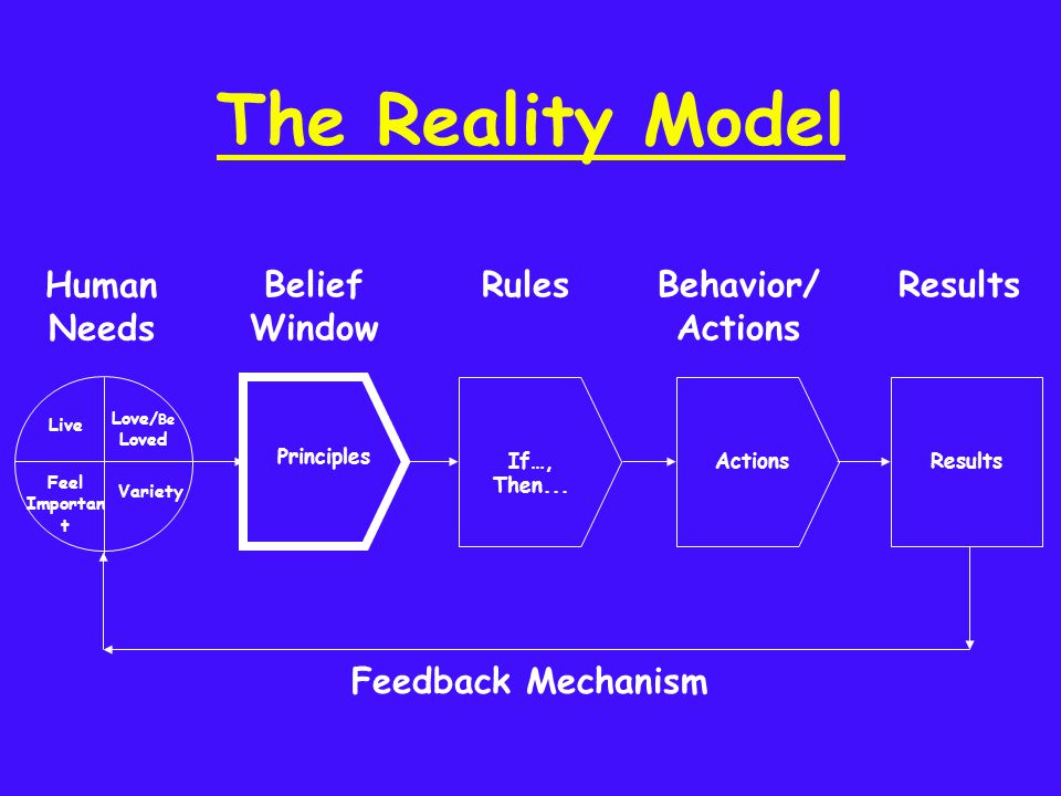 The Belief Window – Ascent Healing